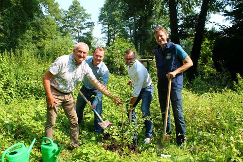 Moorbirke als Baum des Jahres 2023 gepflanzt - Barnim Moorbirke als Baum des Jahres 2023 gepflanzt - Barnim